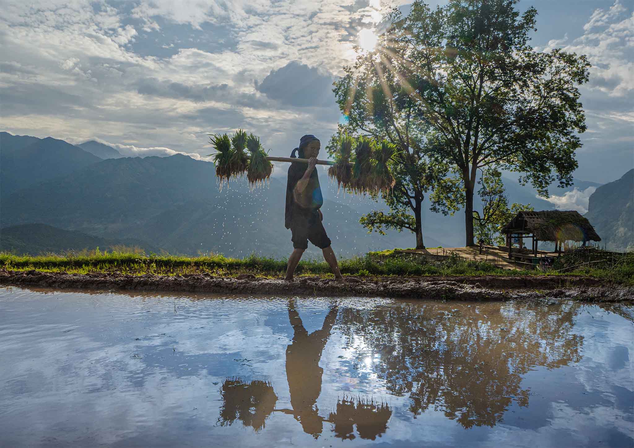 Ngắm ruộng bậc thang Y Tý mùa đổ ải